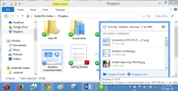 Dropbox Windows Application Overview