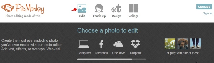 Picmonkey.com offers free and easy-to-use tools to edit photos online.